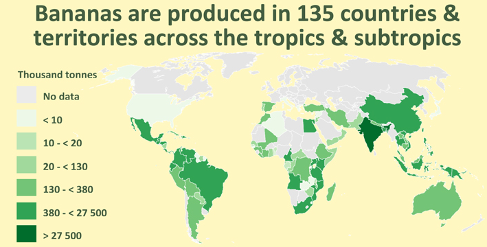 Article: AI-powered banana diseases and pest detection | E-Agriculture